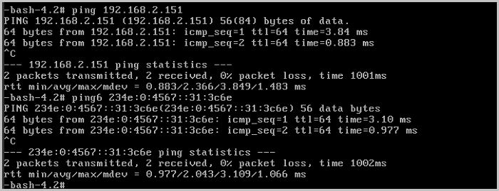 IPv4 IPv6 双栈
